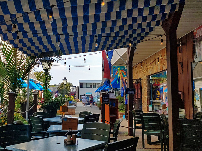 String lights, outdoor seating, and sandwiches that make you contemplate moving to Rehoboth Beach permanently. Arena's knows the good life equation.