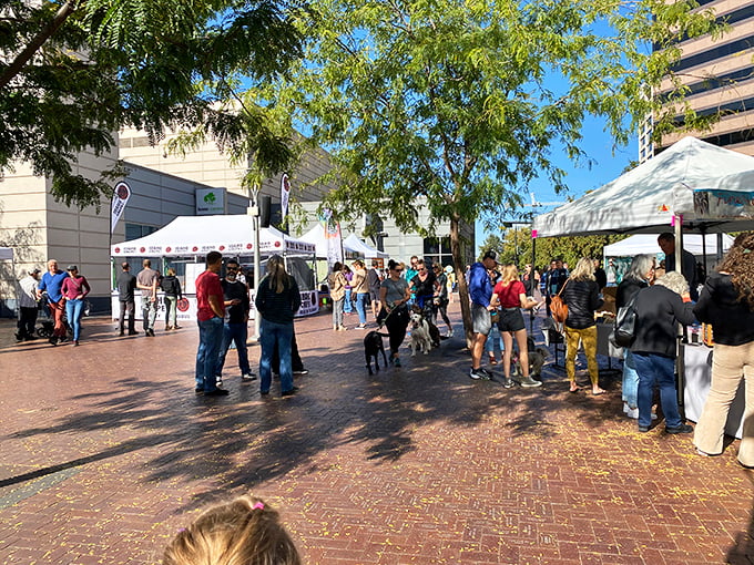 City sophistication meets small-town charm as shoppers stroll through Boise's bustling outdoor marketplace.