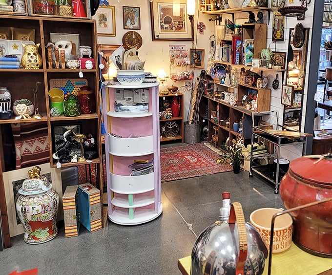 Inside, curiosities stack up like a museum where everything's actually for sale.