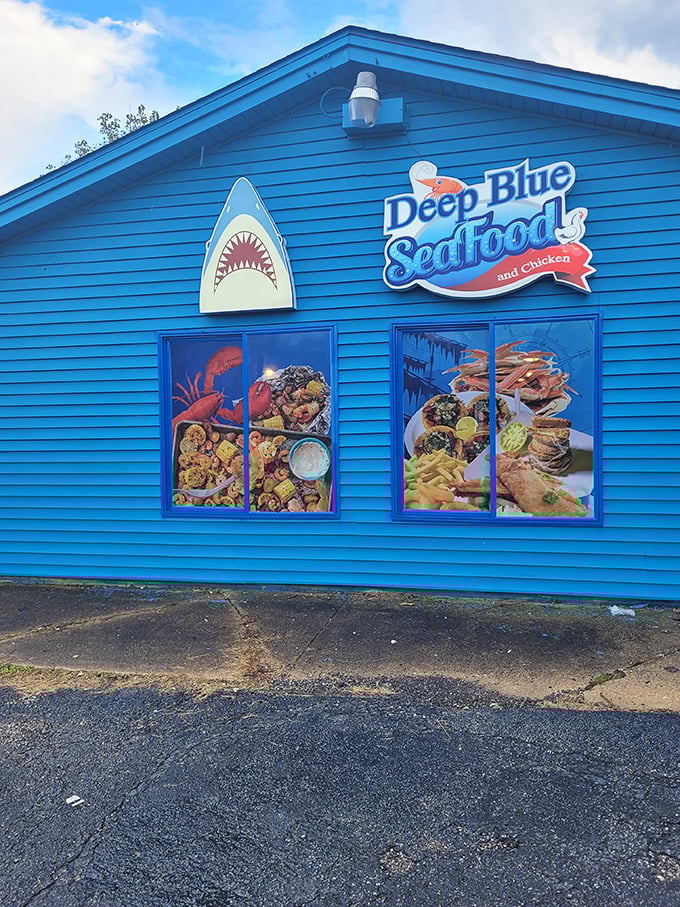 That shark silhouette isn't just decoration – it's a warning that serious seafood cravings will be satisfied here.