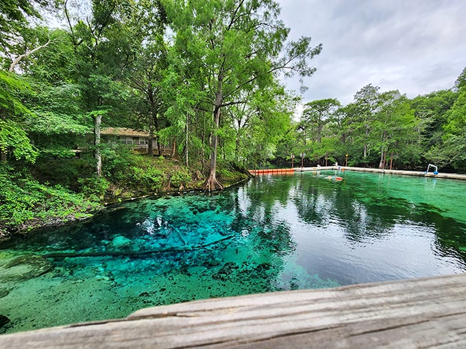 "Who needs a fancy infinity pool when Florida gives you this? The reflections in this spring are better than most mirrors I've owned."