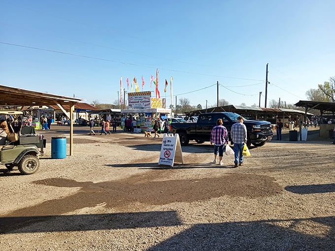 Vendor booths stretch endlessly, promising discoveries that'll make your neighbors absolutely green with envy.