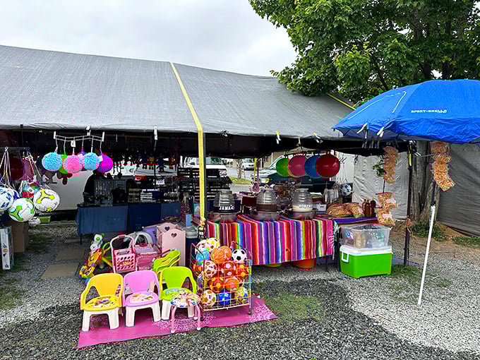 Colorful toys and everyday essentials sit side by side, waiting for their new homes.