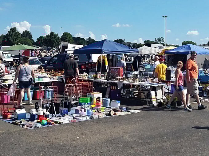 From retro radios to quirky kitchenware, every aisle at Hartville feels like your grandma’s attic—only sunnier.