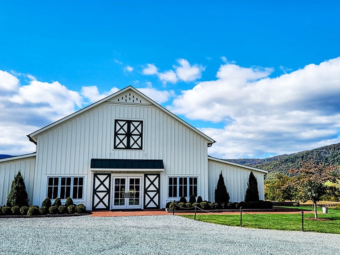 Blue skies, green vines, and a glass of something delicious – King Family Vineyards has mastered the art of the perfect day.