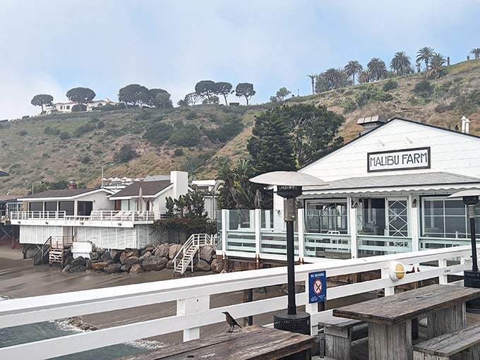 White-washed simplicity frames endless blue horizons at this pier-end paradise for conscious diners.