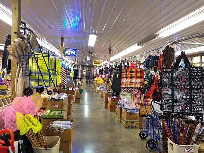 Inside Morning Sun's covered pavilions, every aisle promises a new discovery waiting to be found.