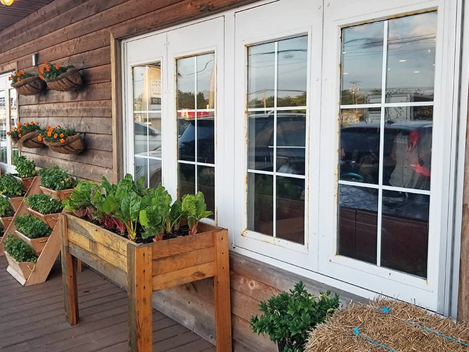 Those garden planters outside Our Harvest aren't just for show—they're a preview of the farm-fresh goodness waiting inside.