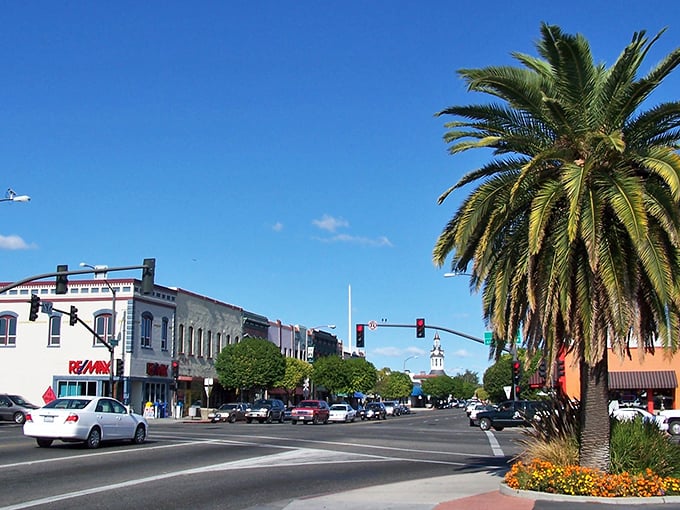 Palm trees and stoplight—Red Bluff's colorful streetscape is California's perfect blend of desert meets small-town Americana.
