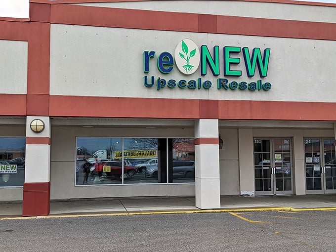 Clean, organized displays make thrift shopping feel almost fancy – who knew secondhand could look this good inside?