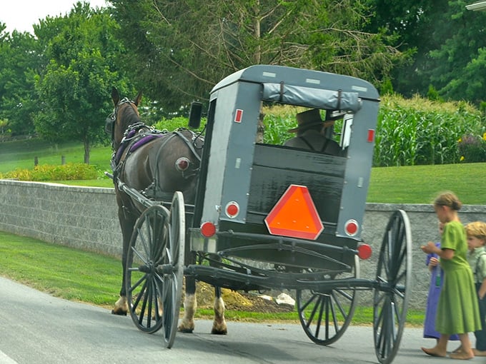 Amish buggies share peaceful country roads where rush hour means waiting for a horse.