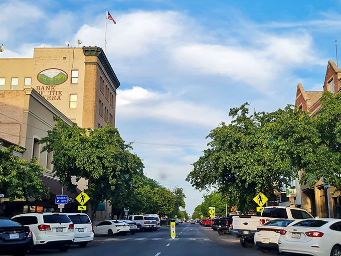 Those Victorian beauties in Visalia stand proud, like elegant grandmothers watching over their modern neighbors.
