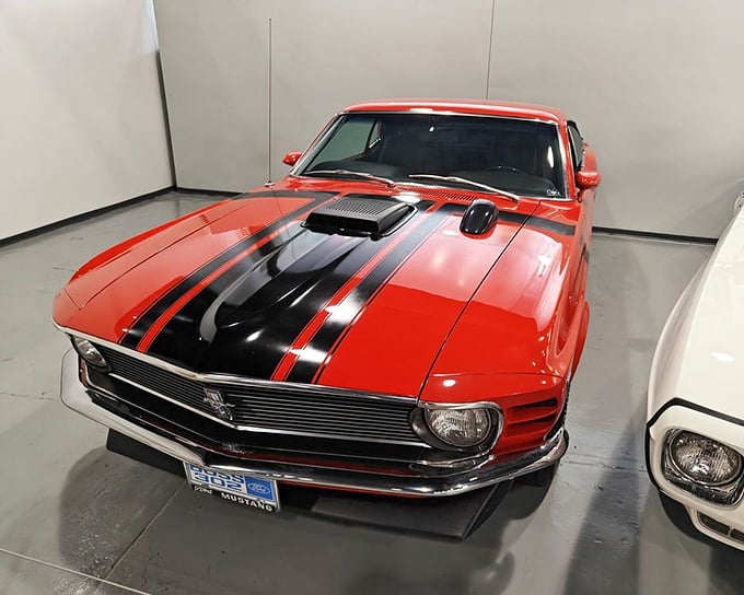 The Boss 302 Mustang—Ford's answer to "how fast is too fast?"—sits proudly with its aggressive hood scoop and racing stripes demanding your respect.