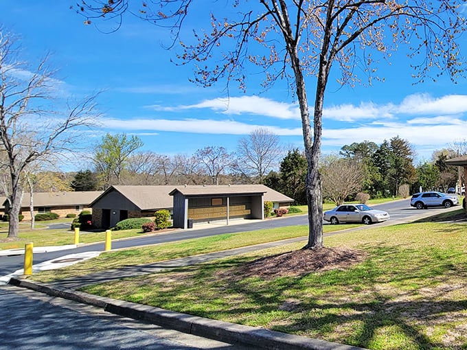 That community building that looks suspiciously like someone's grandparent's ranch house? Pure Americana—where town business happens without pretension.