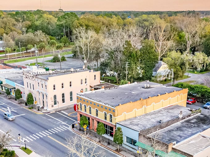 Downtown Newberry from above reveals the perfect small-town layout—close enough to walk everywhere, far enough from your in-laws to maintain sanity.