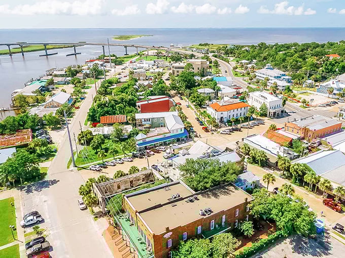 Apalachicola from above reveals its perfect marriage of land and sea—a patchwork quilt of history, commerce, and natural beauty.