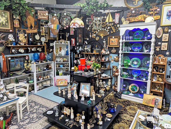 5. antique collectiblesA collector's fever dream – shelves packed with carefully curated treasures where one person's "too much stuff" becomes another's "perfect gallery wall."