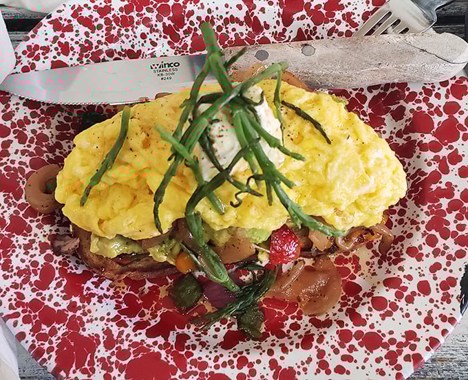This isn't just an omelet—it's edible sunshine with a supporting cast of avocado and tomato on a plate that's having more fun than you are.