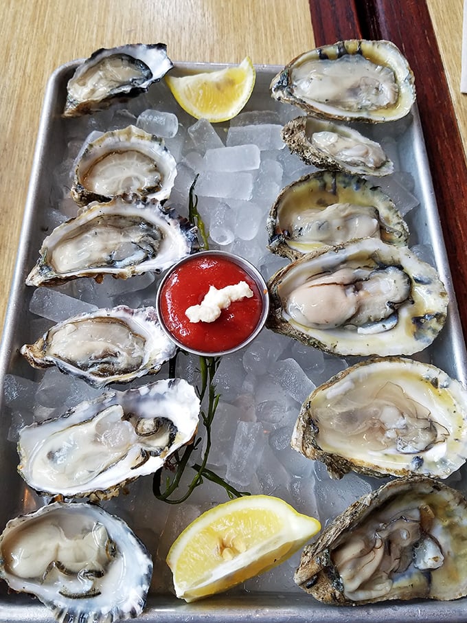 A dozen glistening oysters on ice—nature's perfect appetizer and proof that sometimes the simplest pleasures require nothing more than a squeeze of lemon.