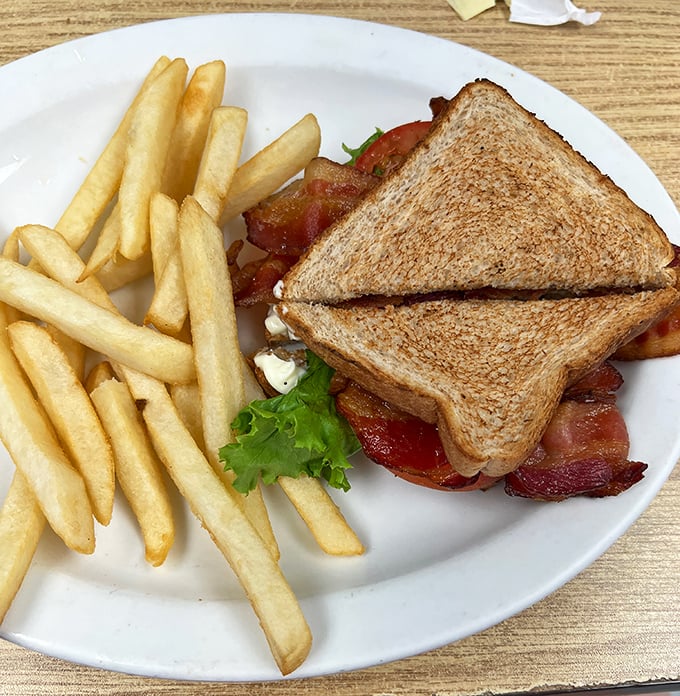 The BLT: where perfectly toasted bread meets the holy trinity of bacon, lettuce, and tomato, with fries standing by as worthy co-pilots.