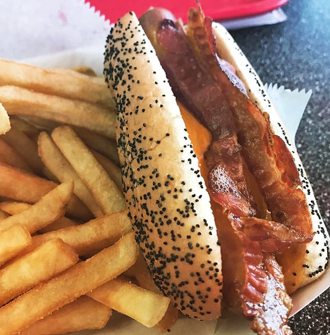 The bacon cheddar dog arrives like a well-dressed celebrity – poppy seed bun as the red carpet, bacon as the headliner, and those golden fries as the adoring fans.