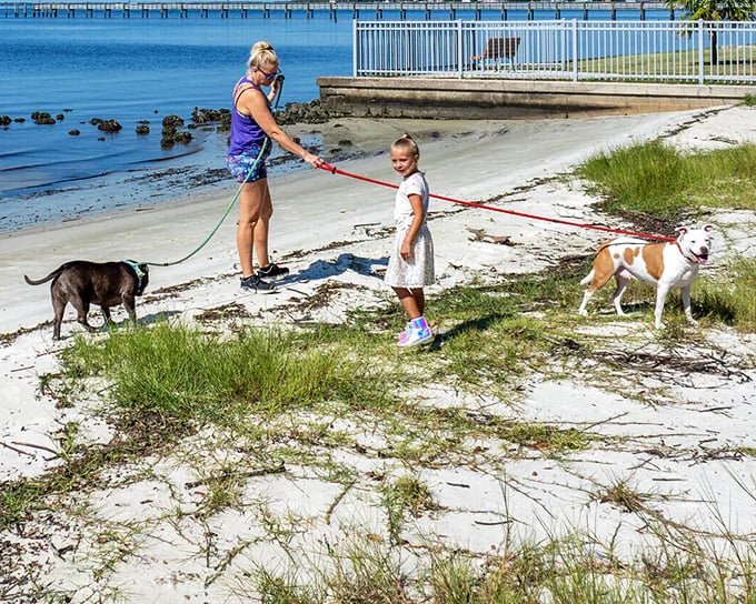 Beach days with four-legged friends – where the dogs have that "I can't believe they let us live here" look that matches their owners' expressions.