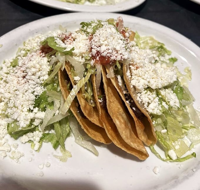 These tacos aren't just topped with cheese—they're crowned with it. Nestled on crisp lettuce, they're like royalty holding court on a throne of Mexican culinary tradition.