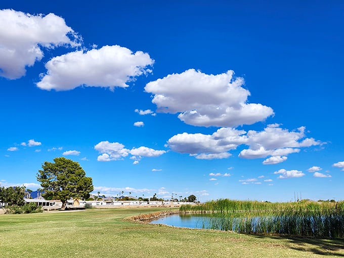 Under skies so vast they make your problems feel microscopic, Blythe's golf course offers a surprising patch of green serenity.