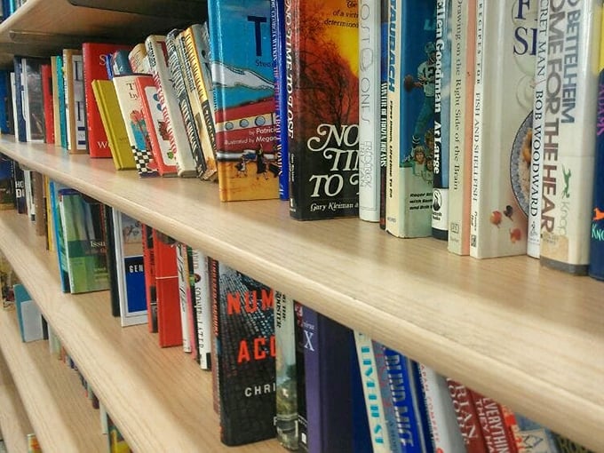 Literary treasures waiting to be discovered – some bestsellers, some mysteries, all ridiculously affordable adventures.