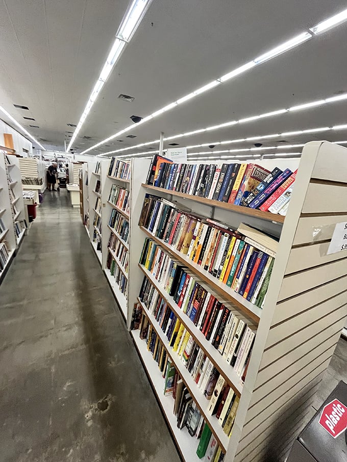 The book section: where bestsellers of yesteryear patiently wait to be rediscovered, like old friends who never went out of style. 