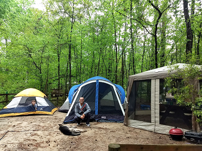 Camping among the trees—where your morning alarm is birdsong and your ceiling is a canopy of leaves. No room service, but five-star views.
