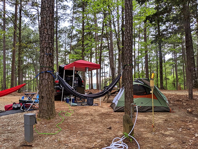 Camping here means waking up to views that make your morning coffee taste like it was blessed by angels.