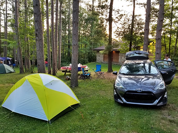 Camping among towering pines—where your morning coffee comes with a side of birdsong and your evening s'mores taste better with stars.