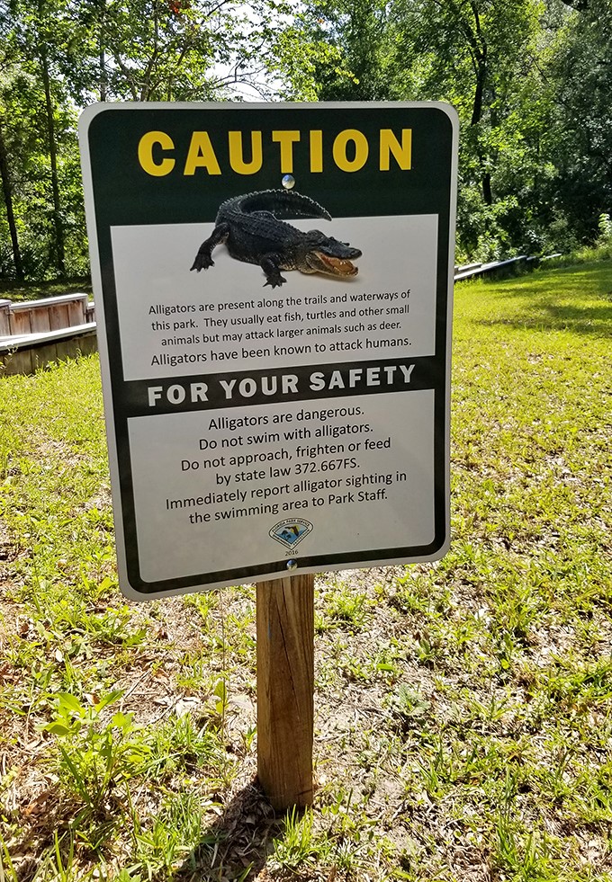 Florida's version of a dinner bell – the alligator warning sign. Nothing adds excitement to a picnic like knowing you might be on someone else's menu.
