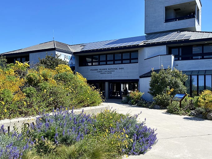 The Channel Islands National Park visitor center—where your mainland adventure begins before hopping a boat to "America's Galapagos."