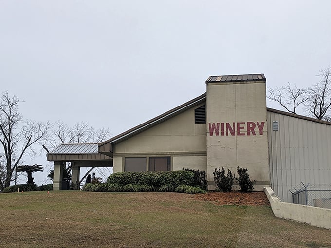 Chautauqua Vineyards & Winery may not look like Napa Valley from the outside, but inside awaits sweet Muscadine surprises worth savoring.