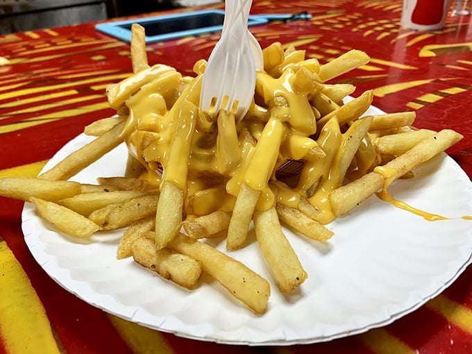 Cheese fries done right—crispy on the outside, fluffy inside, and blanketed with a golden cascade of melted cheese that means business.