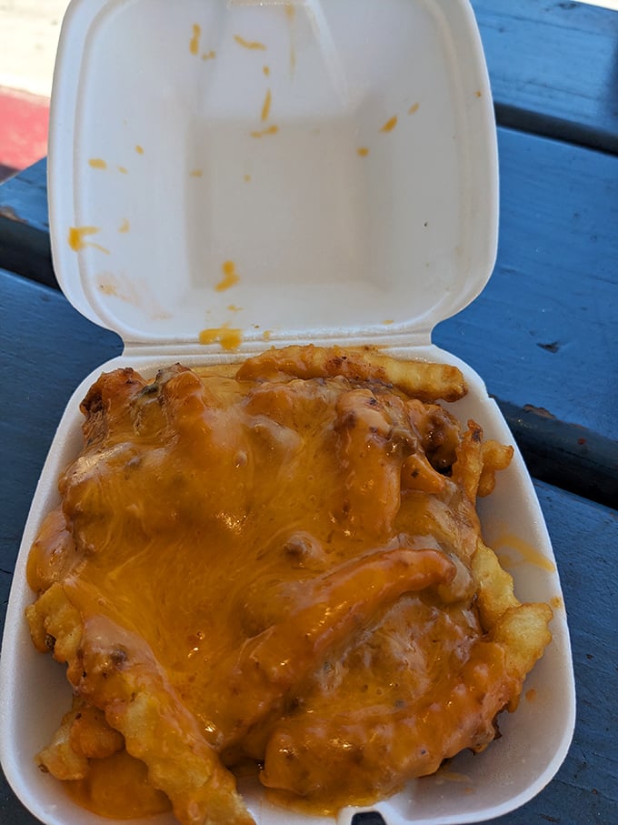 Cheese fries that don't apologize for being exactly what they are: a glorious, melty mess that demands to be devoured.