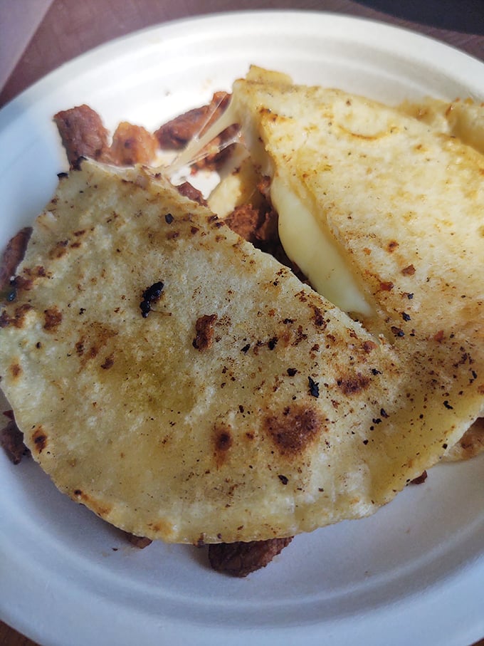 The quesadilla reveals its secrets: perfectly melted cheese embracing savory meat between handmade tortillas that put store-bought versions to shame.