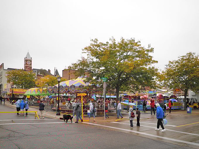 Monroe's town square comes alive during market days, where locals gather to shop, socialize, and remind us what community really means.