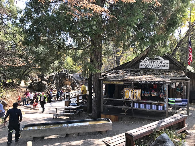 Gold panning stations prove that treasure hunting never goes out of style. The real gold? The expressions when someone finds their first flake.