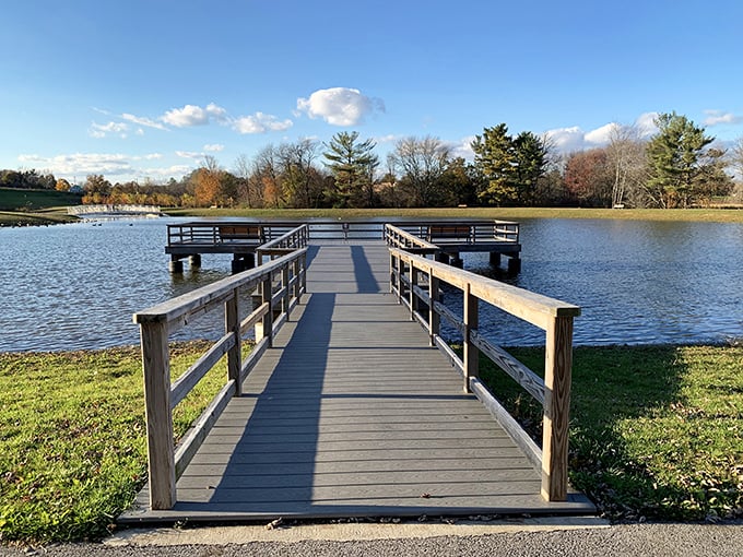 This peaceful dock stretches into serenity itself – the perfect spot for contemplating life's big questions or just watching the clouds drift by.