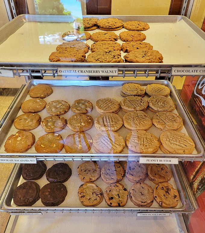 Cookie case paradise where "just one" becomes a mathematical impossibility – resistance is futile and frankly, why would you try?
