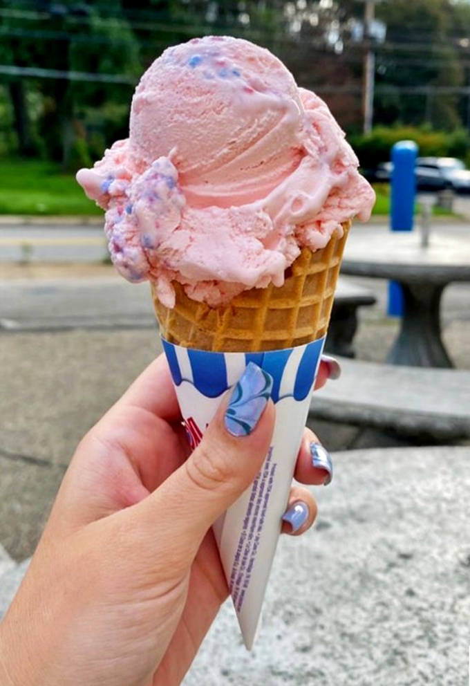 Cotton candy ice cream that doesn't just look like summer—it tastes like your childhood's best day, upgraded for your adult palate.