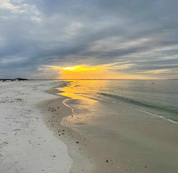 Crooked Island Beach at golden hour. The kind of untouched shoreline that makes you whisper, "Don't tell too many people about this place."