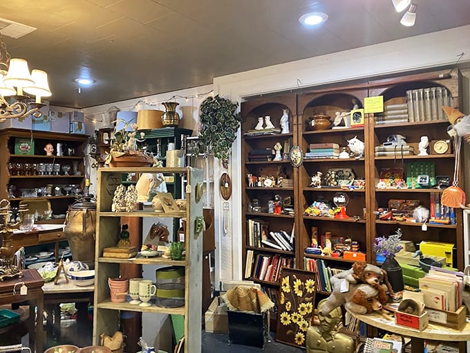 Books, bears, and bygone treasures—this corner feels like the living room of that cool grandparent who never threw anything away.