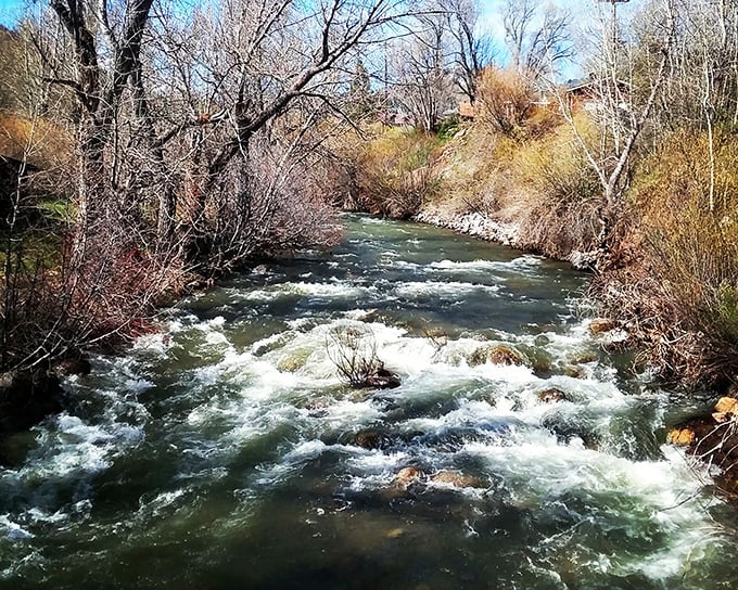 The East Fork of the Carson River doesn't just flow—it performs, creating nature's symphony with every tumble over ancient stones.