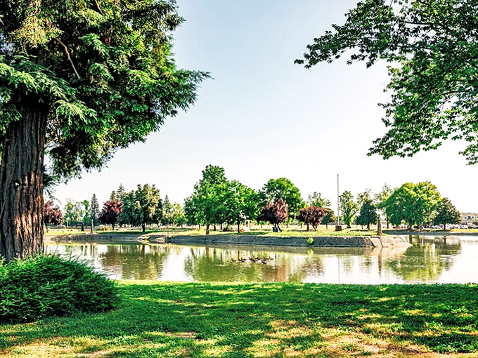 Ellis Lake offers a moment of serenity in the heart of town—like Central Park's country cousin who moved west for better weather.