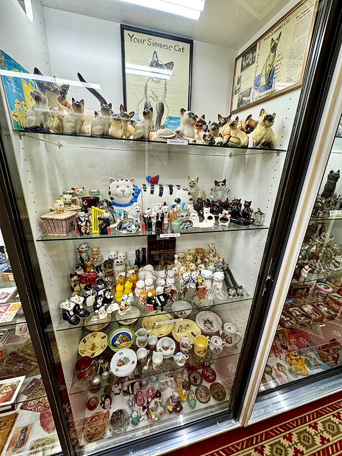 This glass case of ceramic cats represents decades of collecting passion. One person's tchotchkes are another's museum-worthy artifacts.