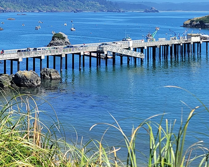 The fishing pier at Trinidad Harbor isn't just functional – it's where daily dramas of man versus sea play out against a backdrop worthy of a California tourism commercial.